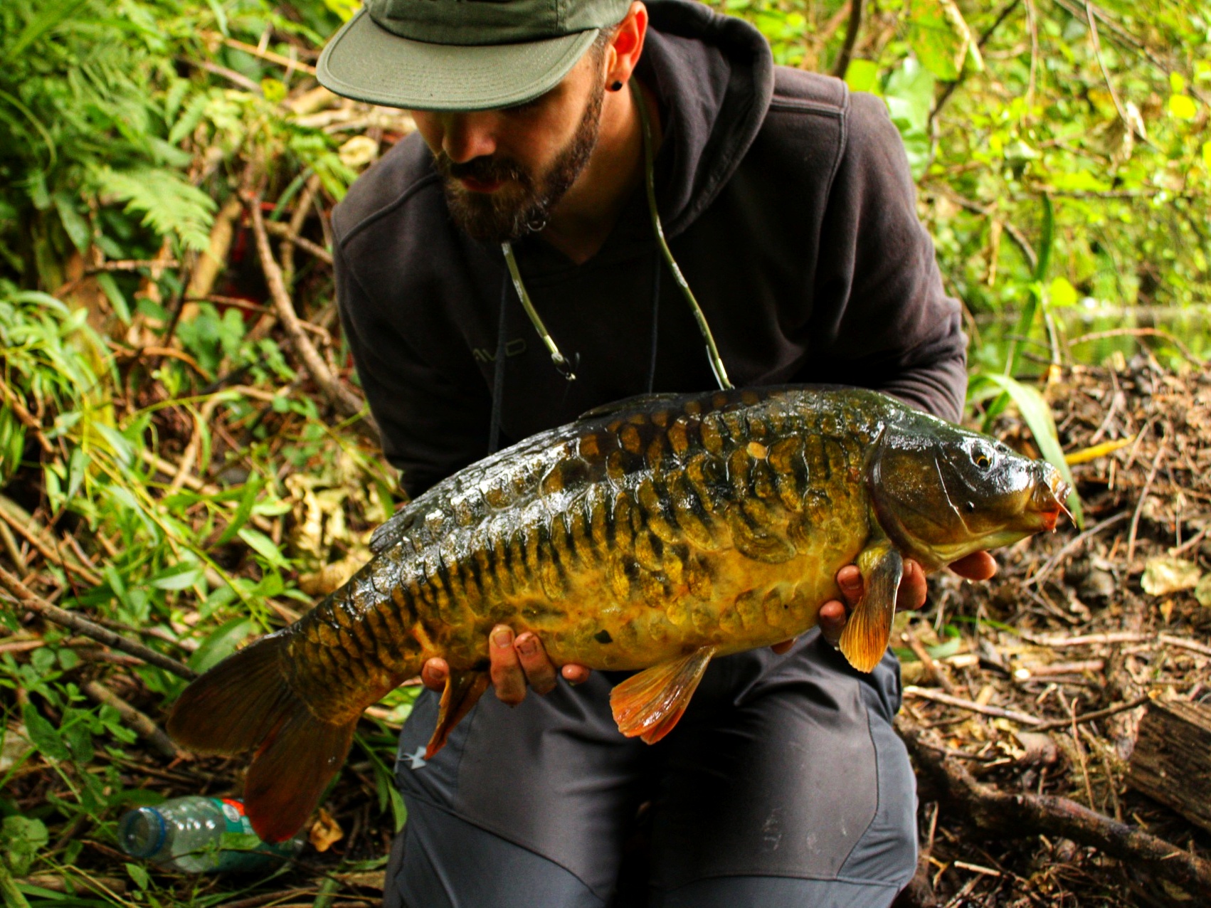 Scaley Park lake banger | Total Carp